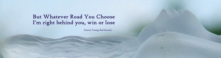 On Friendship – REFLECTIONS OF A SWAMPER